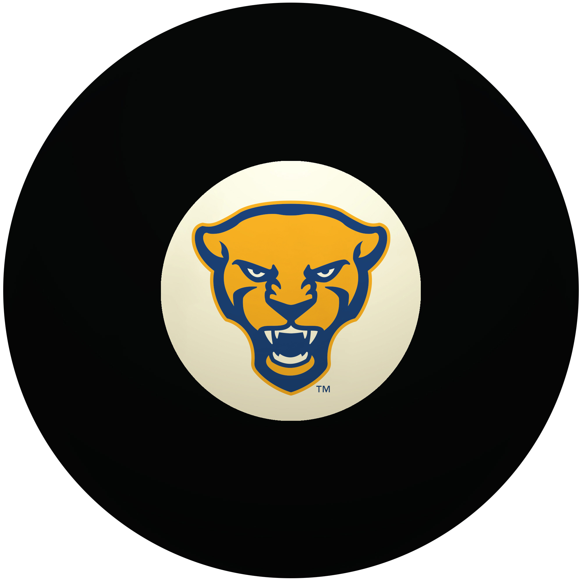 Pitt Panthers Eight Ball